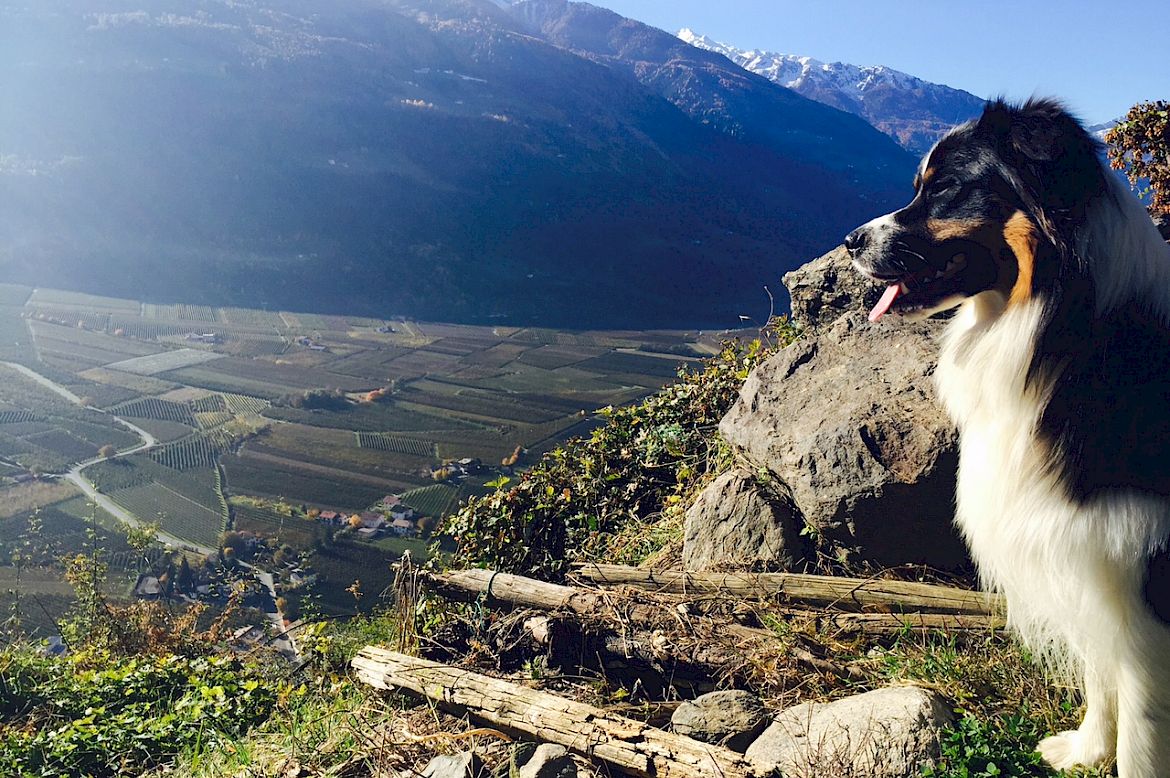 PANORAMAWEG VON STABEN ZUM SCHLOSS JUVAL VON REINHOLD MESSNER ...